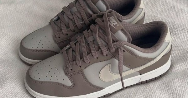 Nike Dunk Special Edition